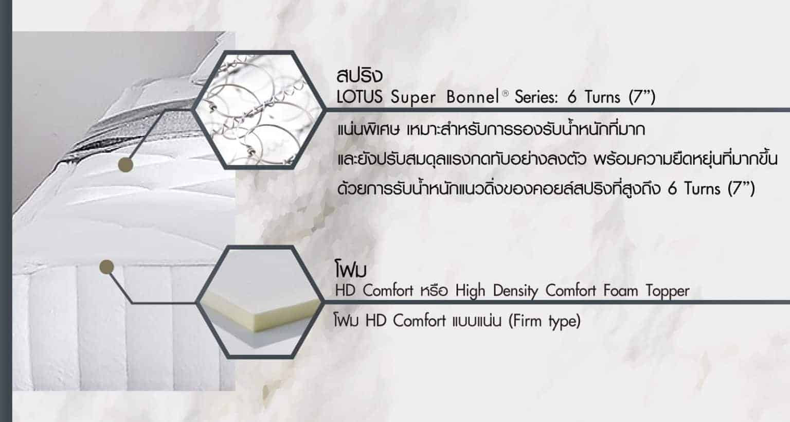 ที่นอน LOTUS รุ่น Coleman | Mattress City ประเทศไทย