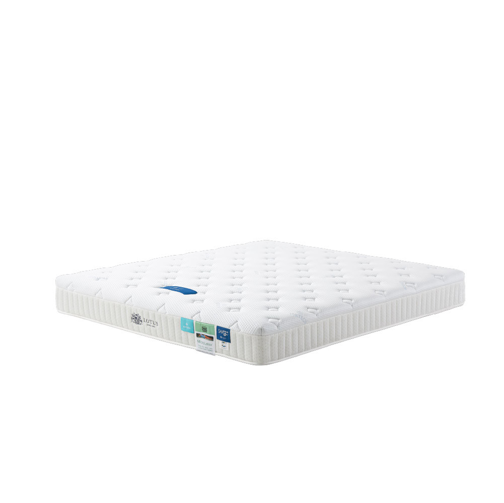 ที่นอน LOTUS รุ่น ASCOTT ICETECH | Mattress City ประเทศไทย