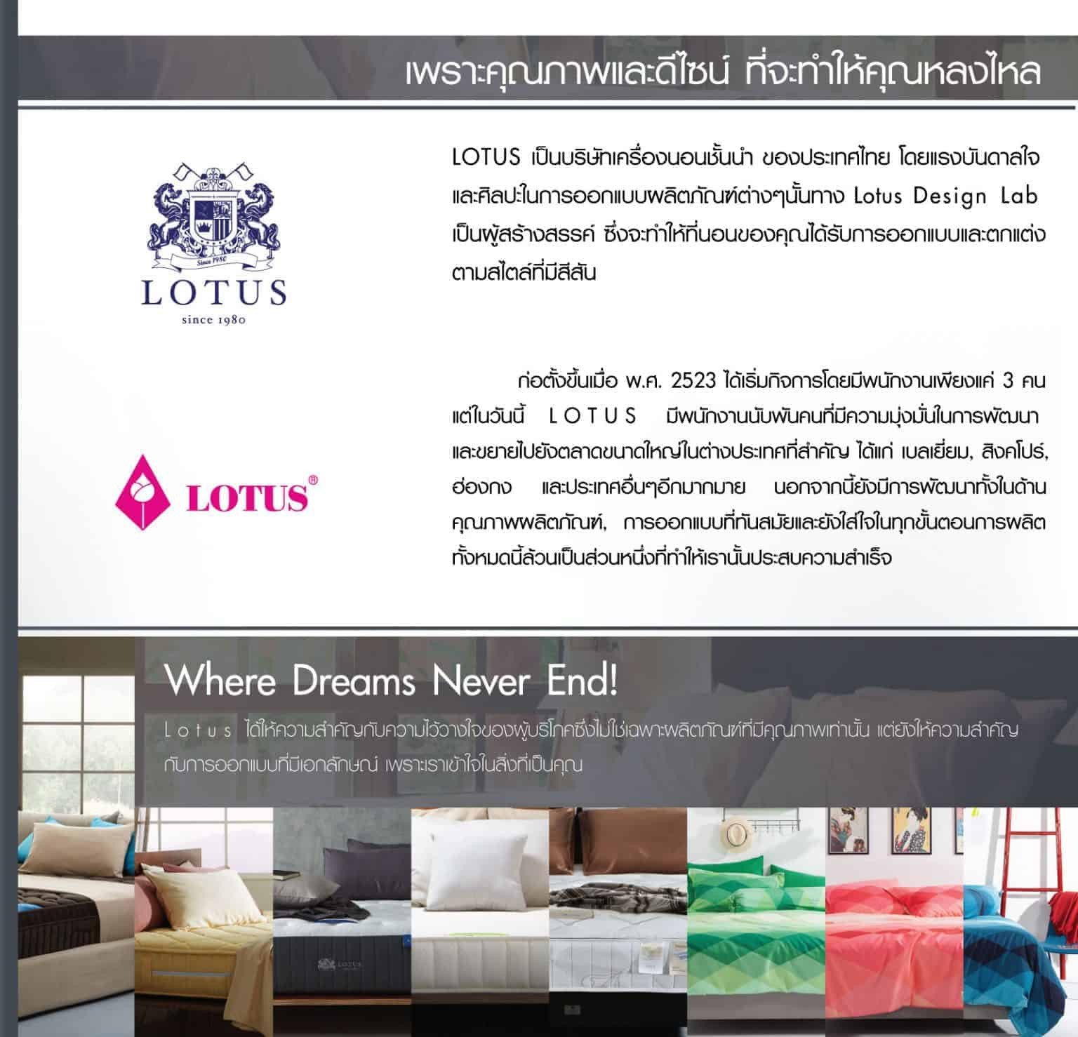 ที่นอน LOTUS รุ่น Coleman | Mattress City ประเทศไทย