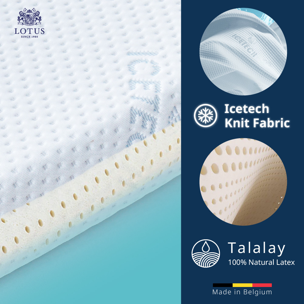 LOTUS Mattress – Regis Topper | Mattress City Thailand