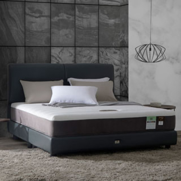 Lotus Mattress: Intel III | Mattress City Thailand