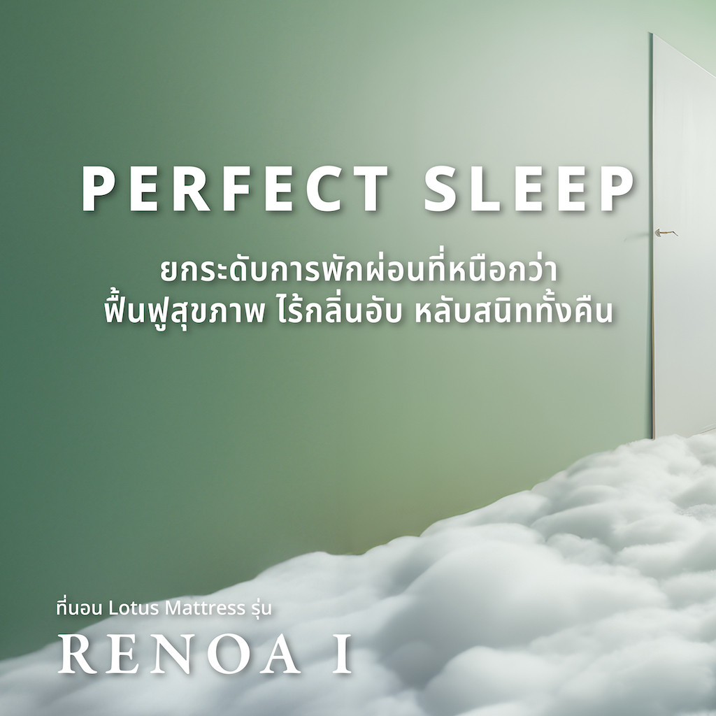 ที่นอน Lotus รุ่น Renoa I | Mattress City ประเทศไทย