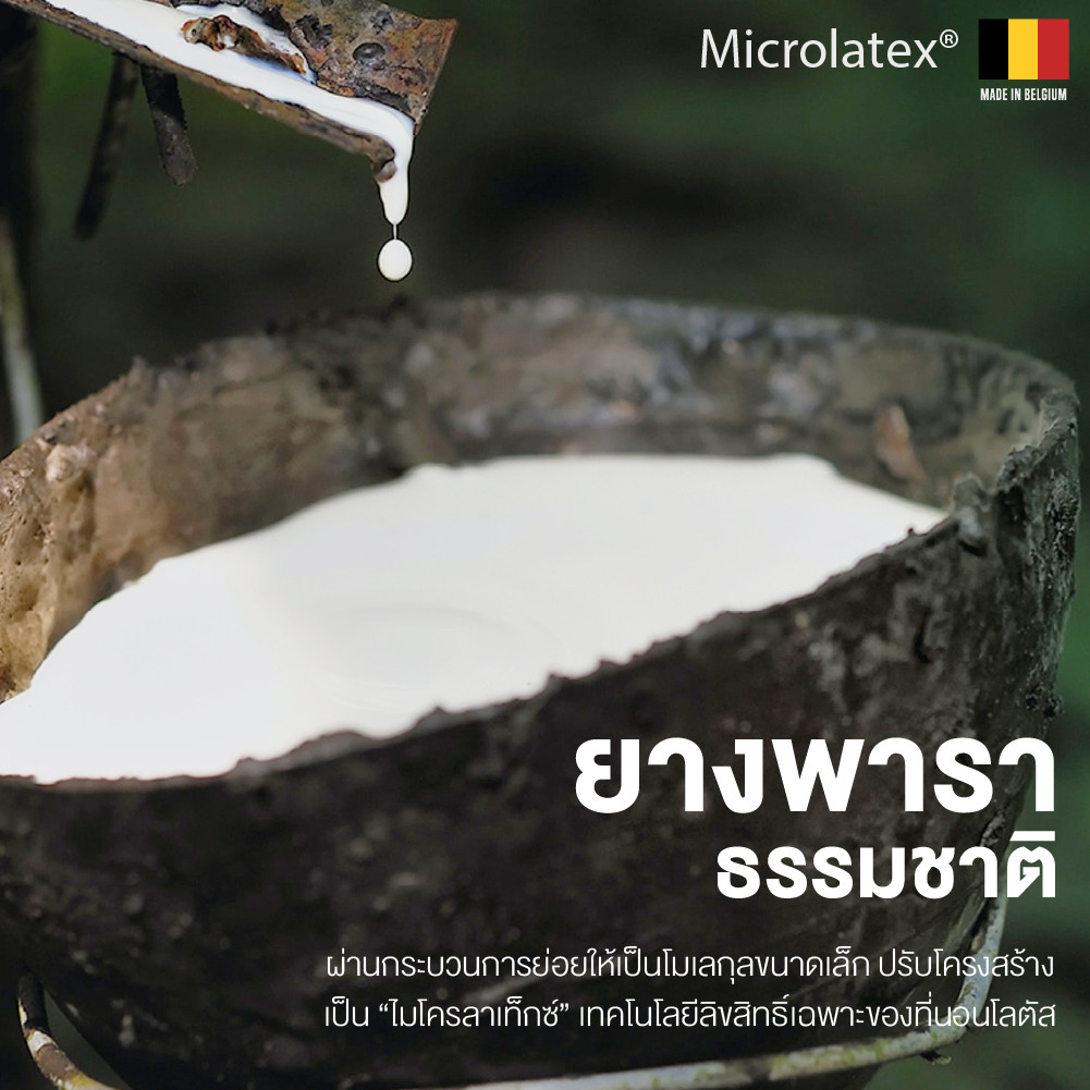 ที่นอน LOTUS รุ่น Intel III | Mattress City