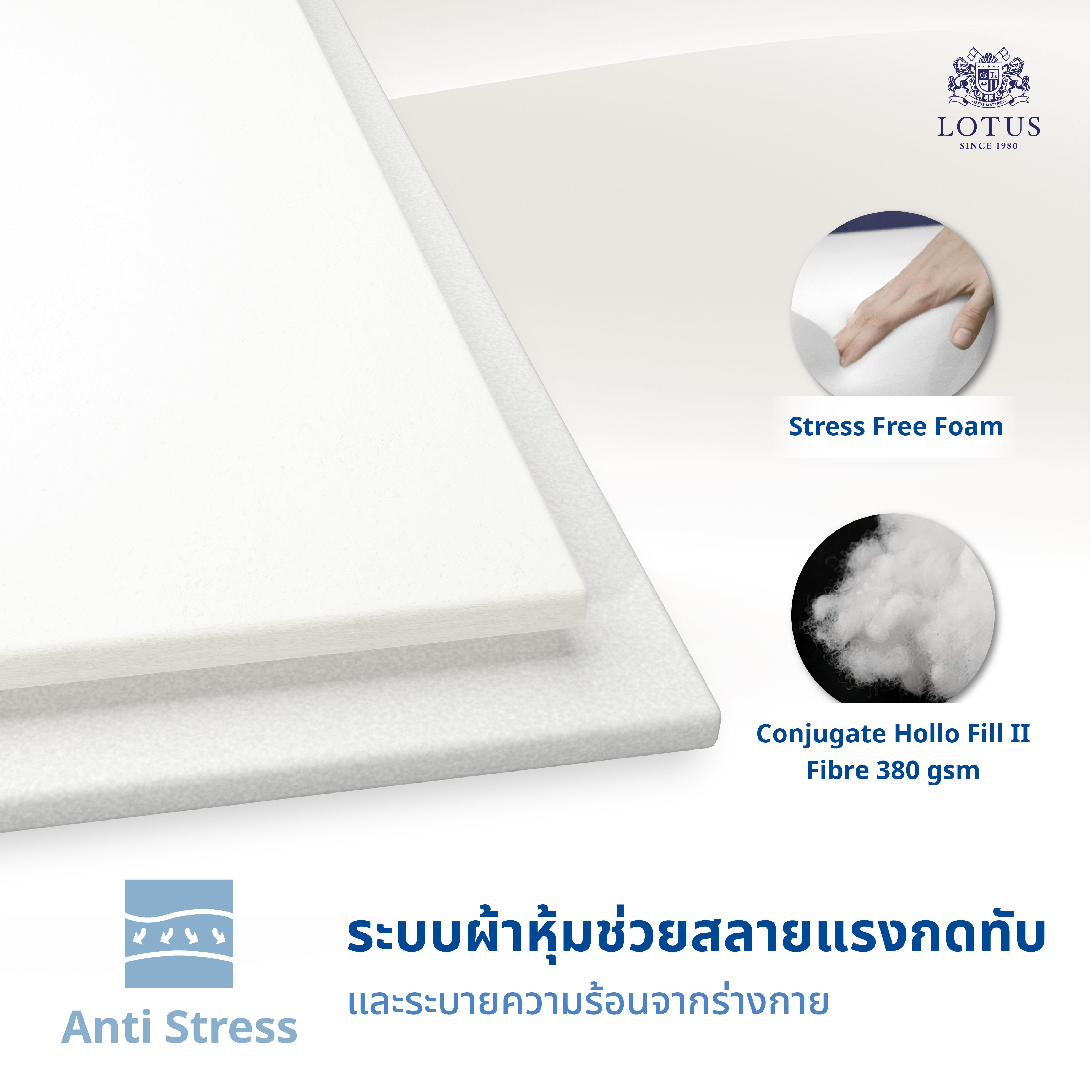 LOTUS MATTRESS - Luke | Mattress City Thailand