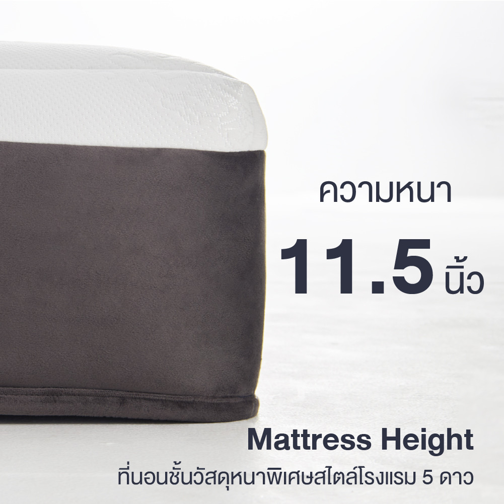 ที่นอน LOTUS รุ่น Intel III | Mattress City