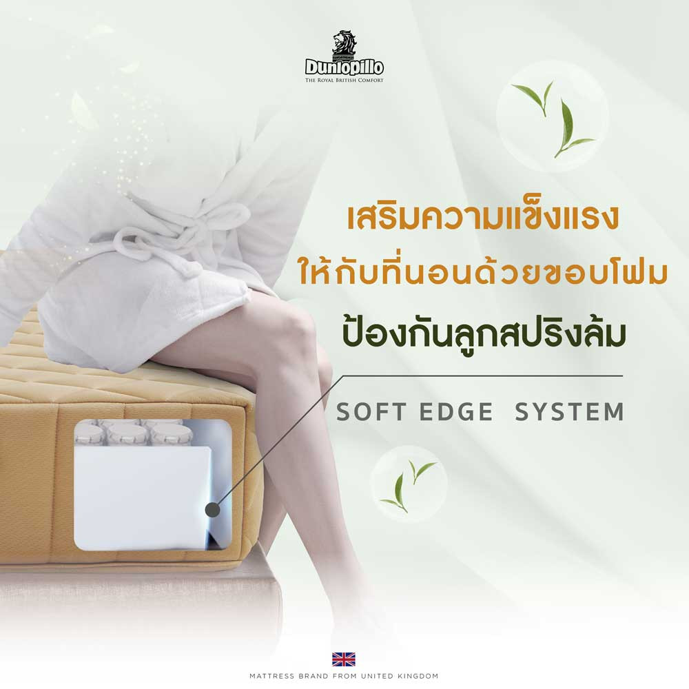 ที่นอน Dunlopillo รุ่น Calvyn | Mattress City ประเทศไทย