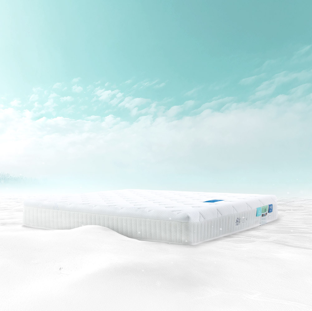 LOTUS MATTRESS - ASCOTT ICETECH | Mattress City ประเทศไทย