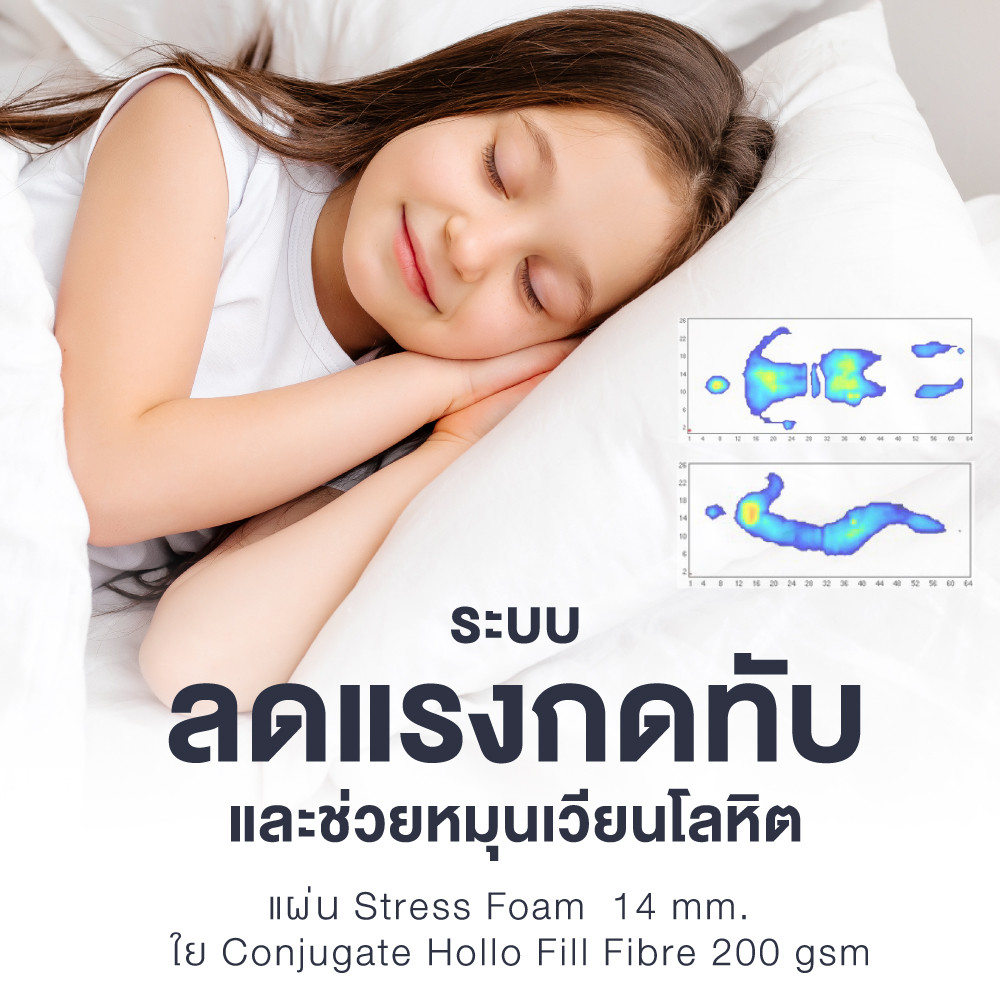 ที่นอน LOTUS รุ่น Intel III | Mattress City ประเทศไทย